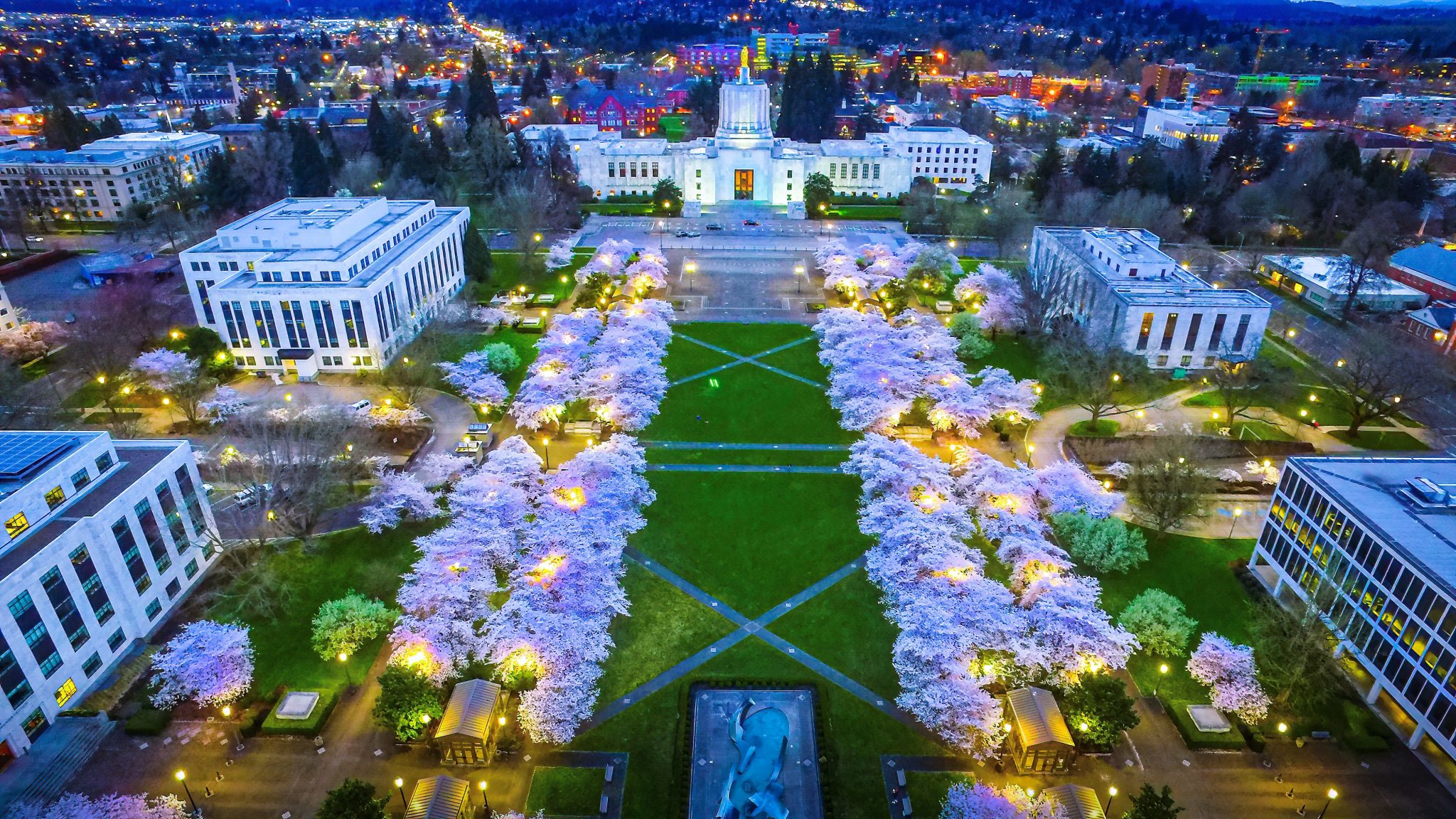 Cherry Blossom Day at the Capitol - Visit the Oregon Capitol
